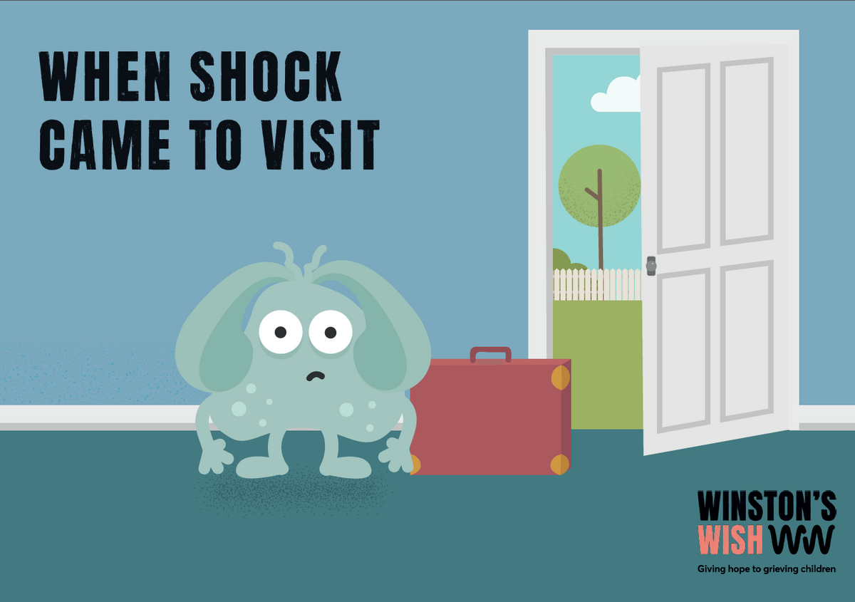 Alien Feelings: Grief and Shock (e-book) by Winston's Wish
